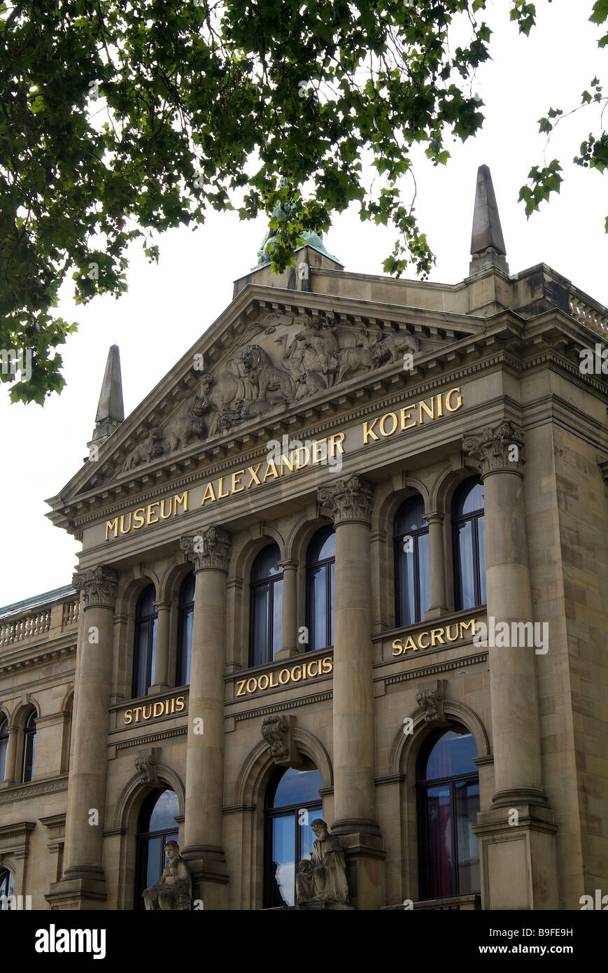 Germany Bonn museum Alexander Koenig Stock Photo - Alamy