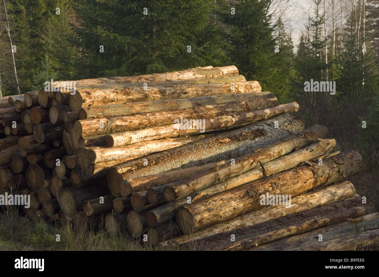 Timberhof place hi-res stock photography and images - Alamy
