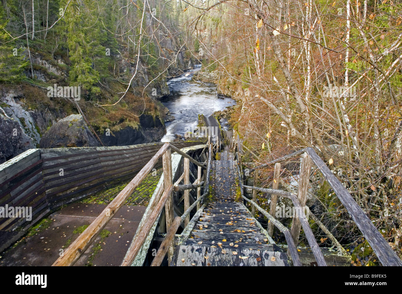Forest river path wood-stairway Stock Photo - Alamy