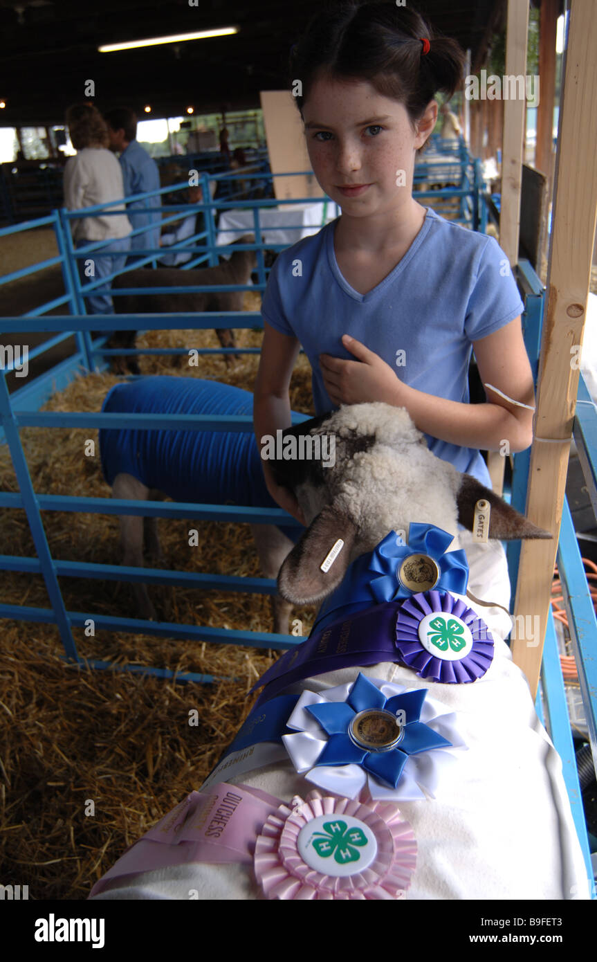 Young 4h Girl Wins Multiple Prizes With Her Sheep At The Dutchess