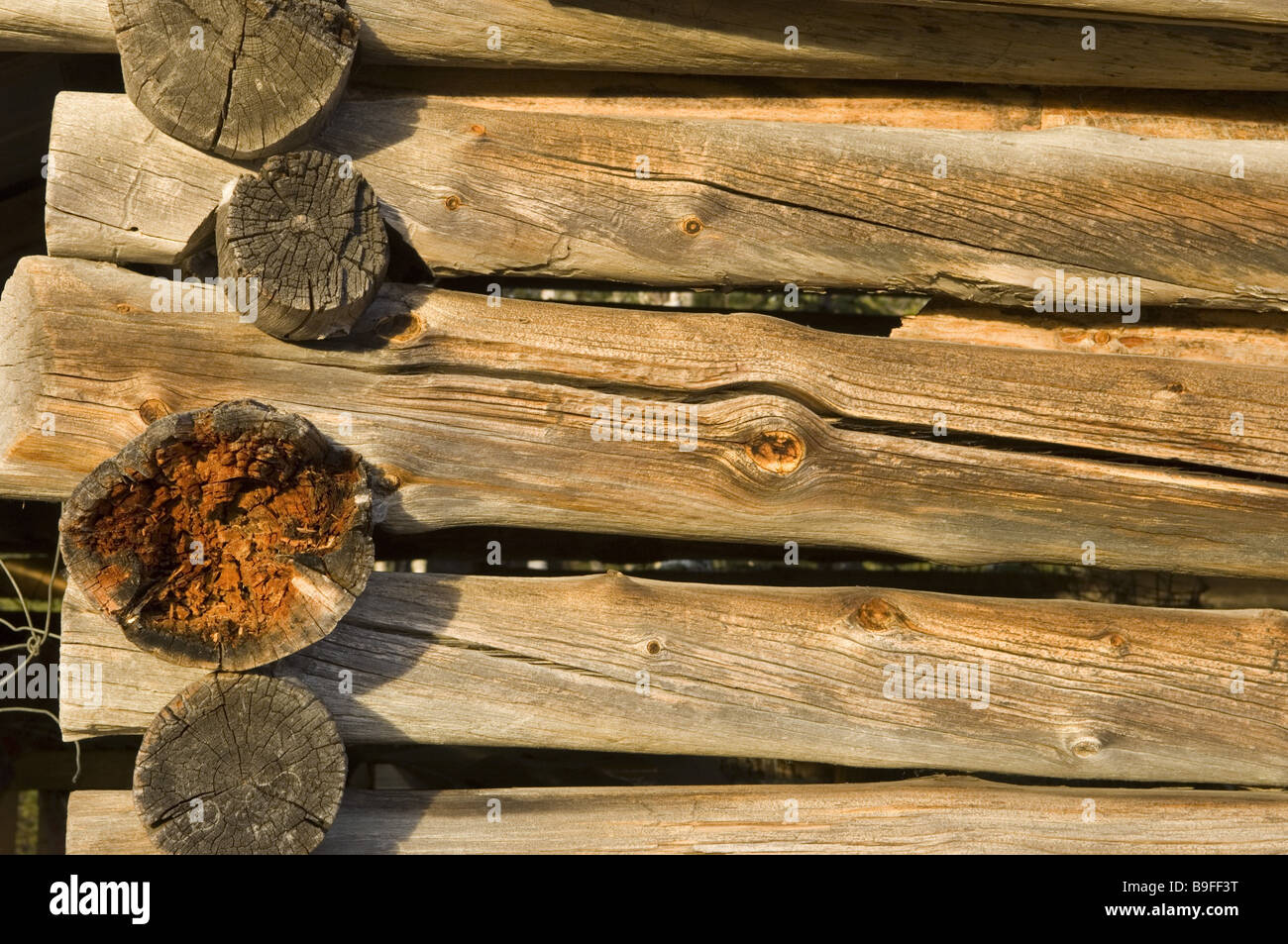 Wood-alp close-up detail Stock Photo - Alamy