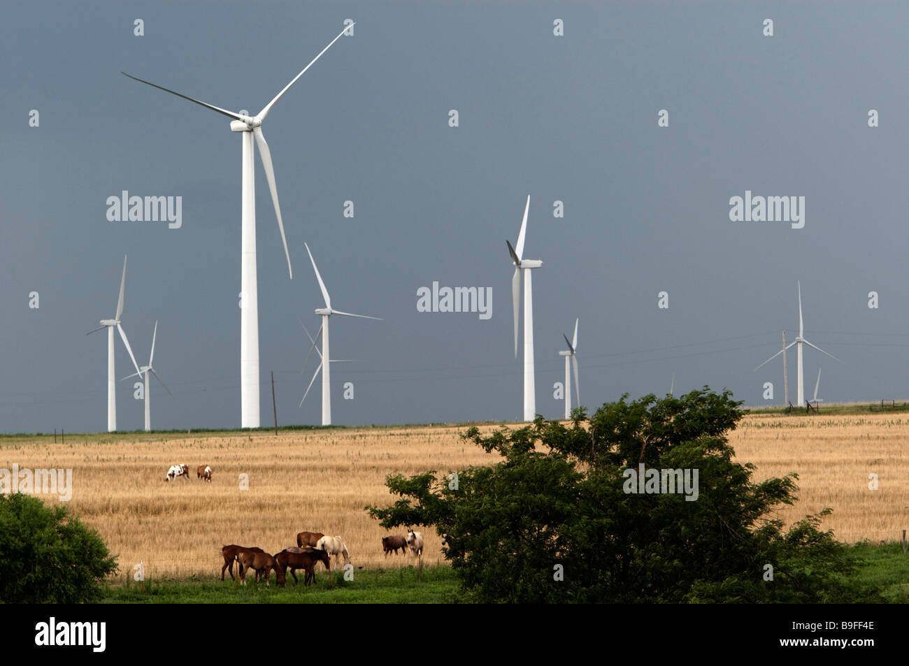 Summer storm approaches wind farm hi-res stock photography and images ...