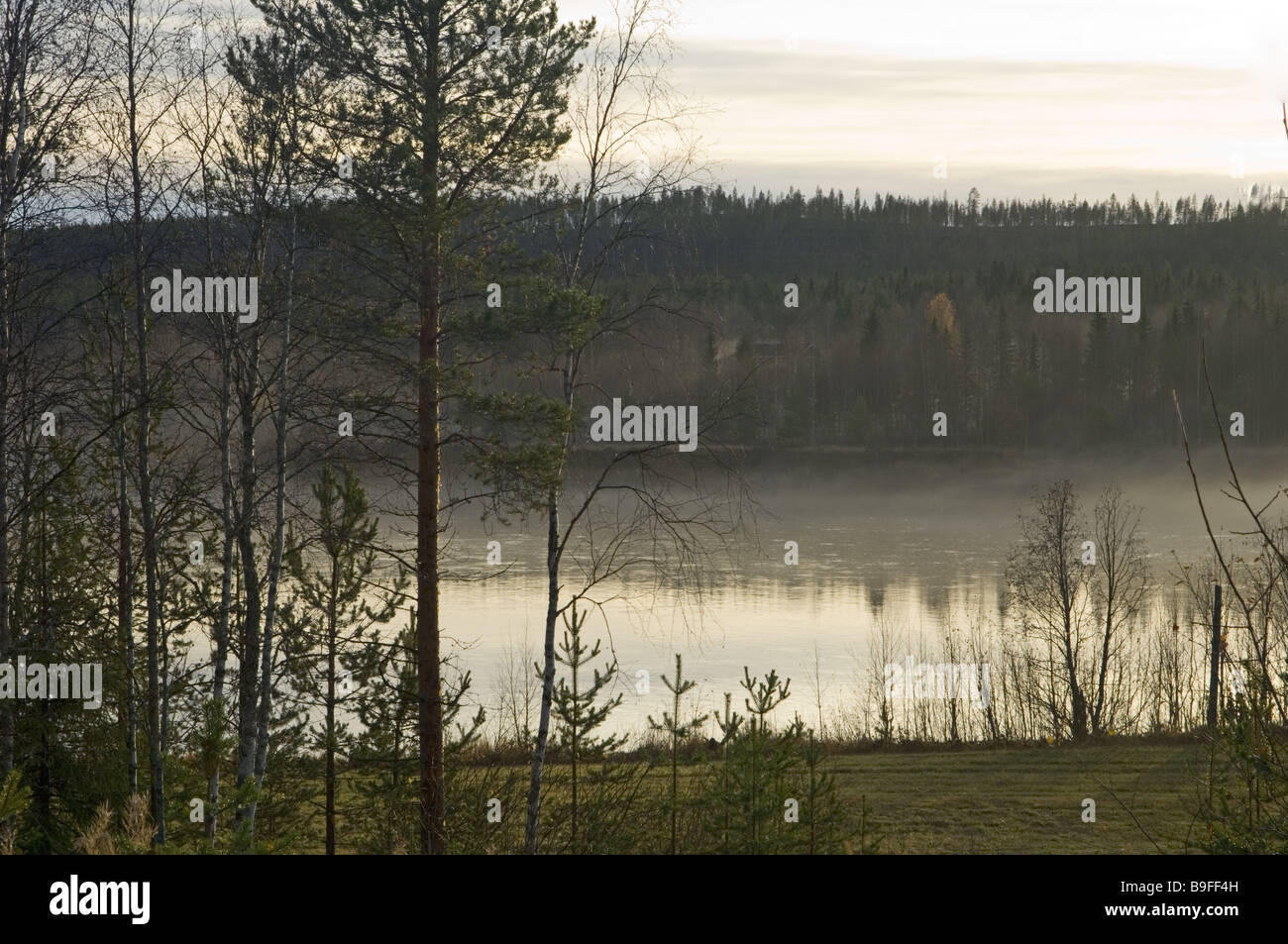 Fluss ounasjoki hi-res stock photography and images - Alamy