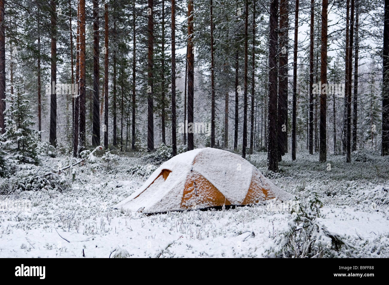 Finland forest tent snow Stock Photo - Alamy