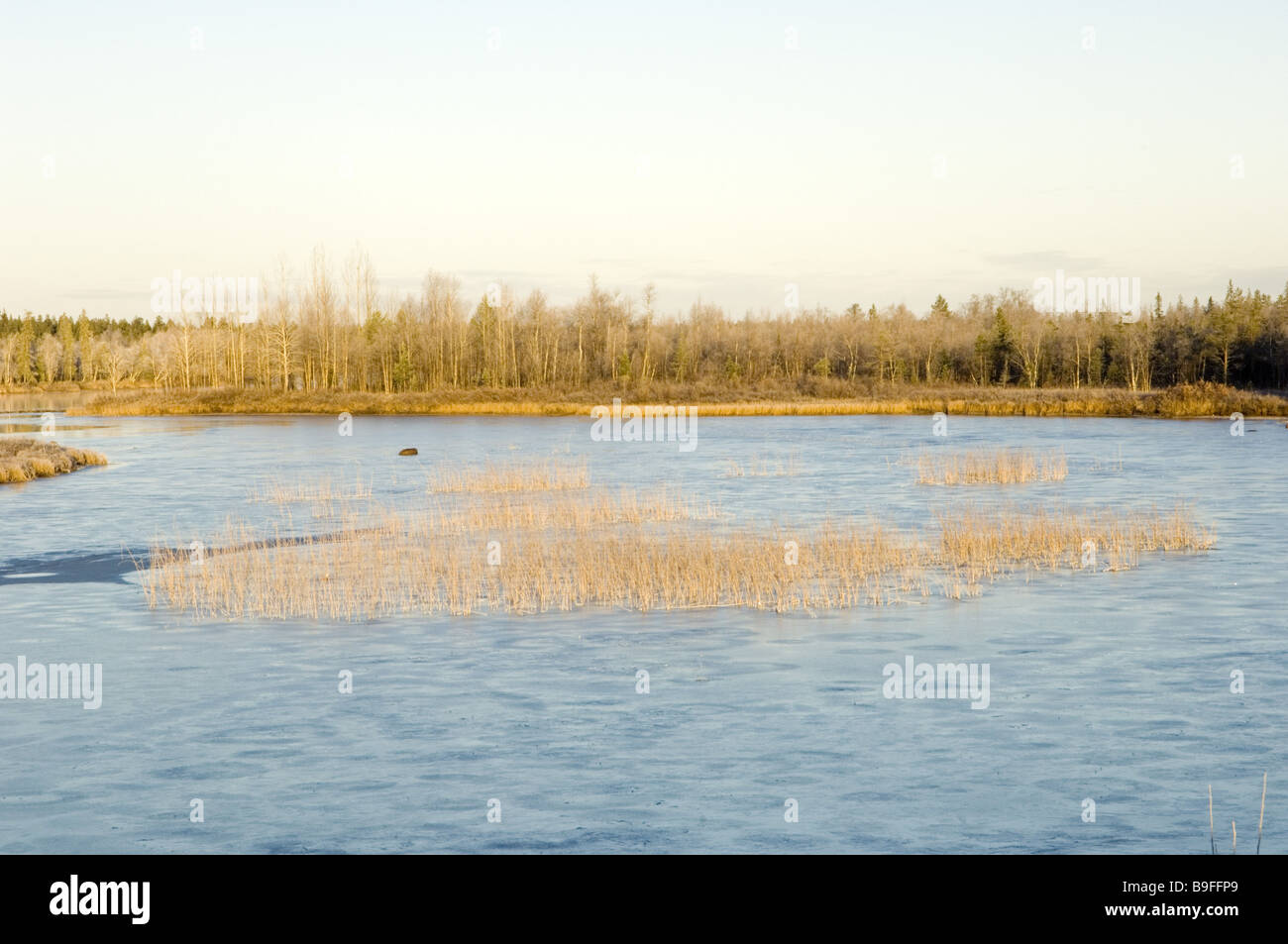 Sweden river-landscape autumn frost cold Stock Photo - Alamy