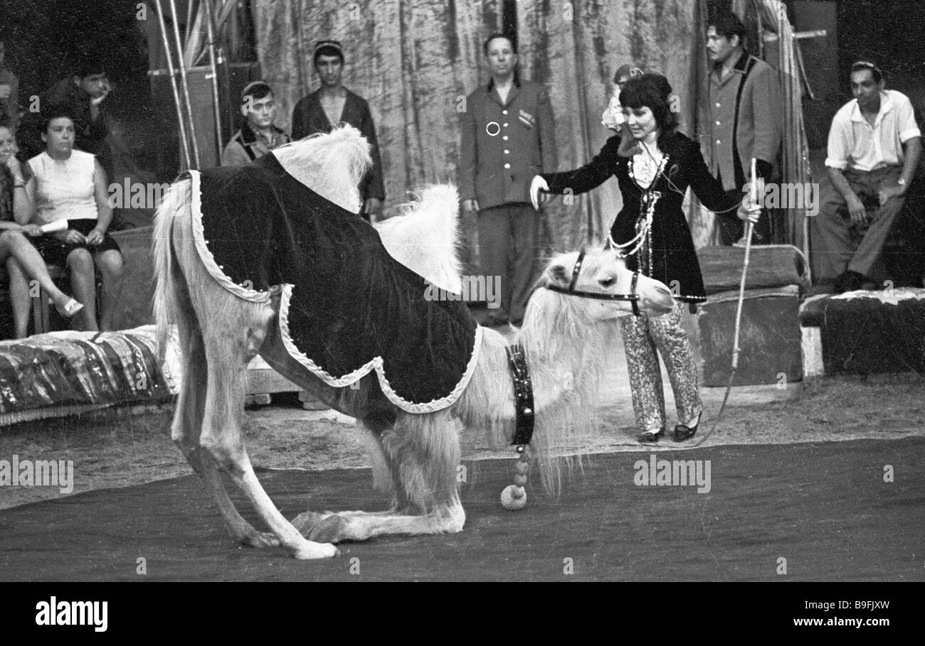 Lola Kafarova Tajik animal tamer in circus with her performing camel ...