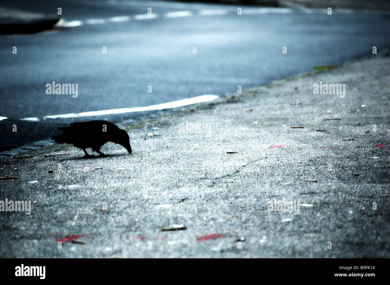 Crow Road Stock Photos & Crow Road Stock Images - Alamy