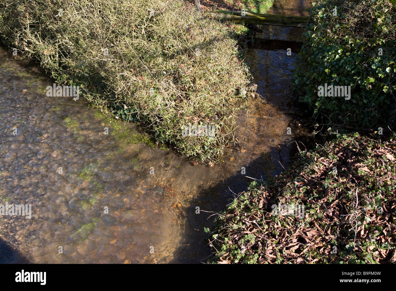 Confluence of two small streams Stock Photo - Alamy