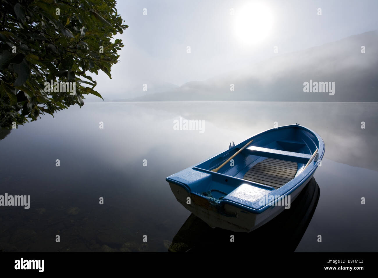 Canoe reception hi-res stock photography and images - Alamy