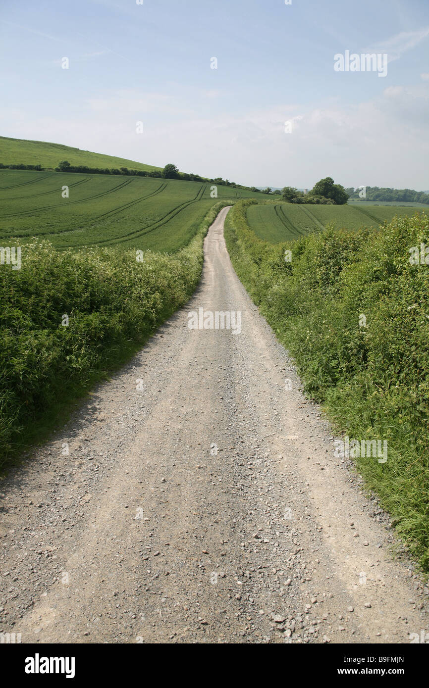 An unmade country track Stock Photo - Alamy