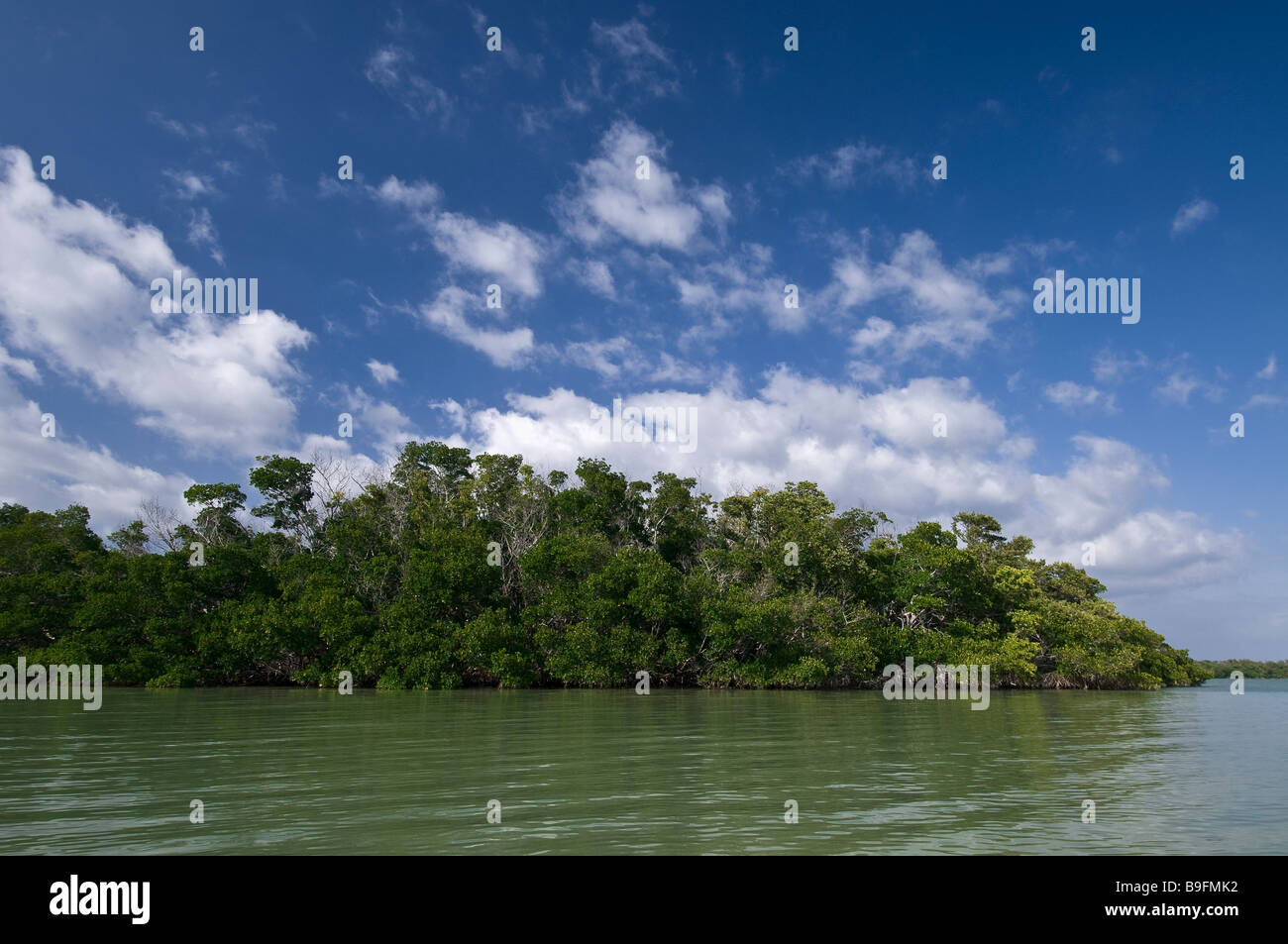 Mangrove forests surround islands in Florida Bay Everglades National ...