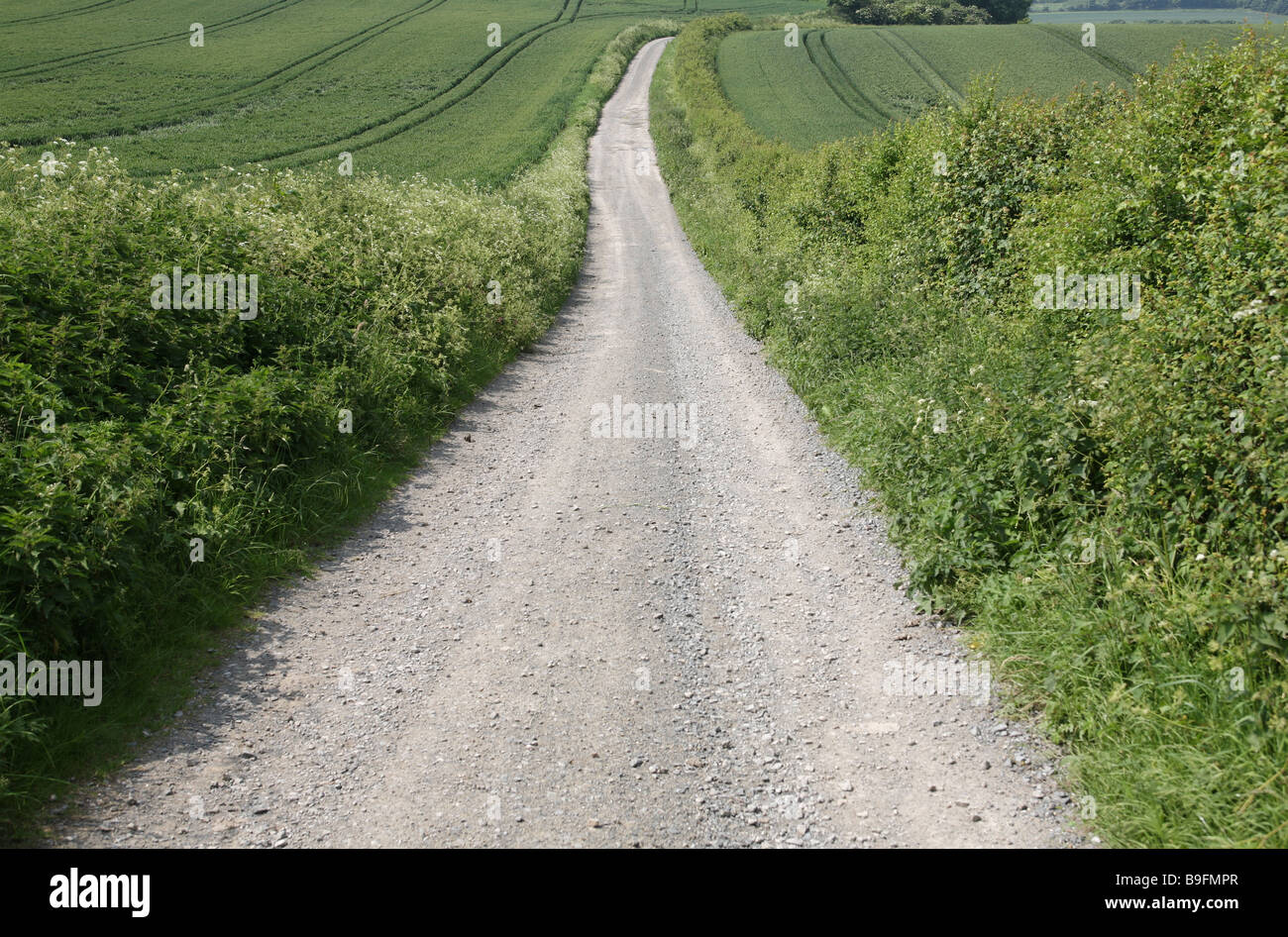 Unmade path hi-res stock photography and images - Alamy