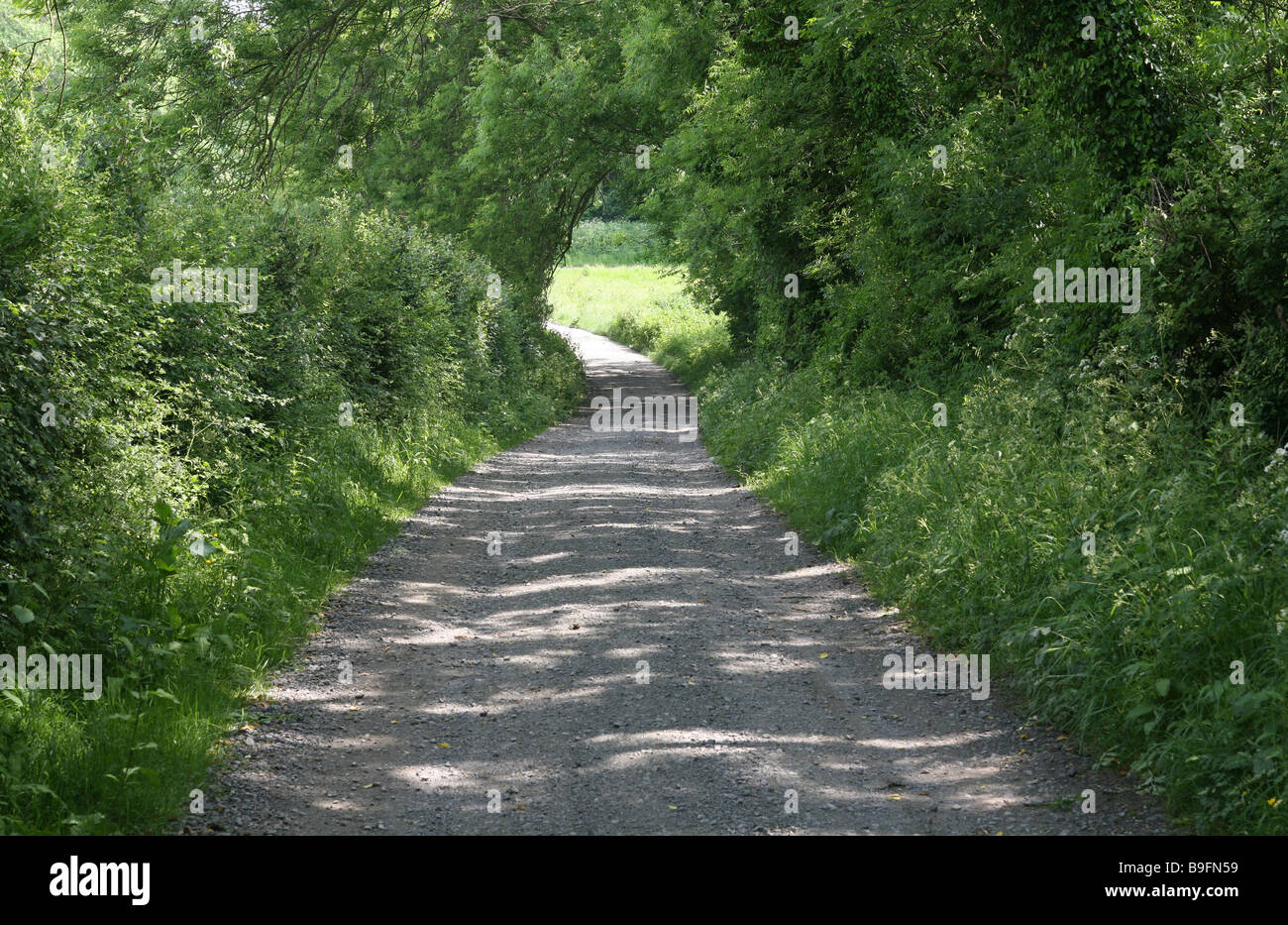 Sun dappled farm track hi-res stock photography and images - Alamy