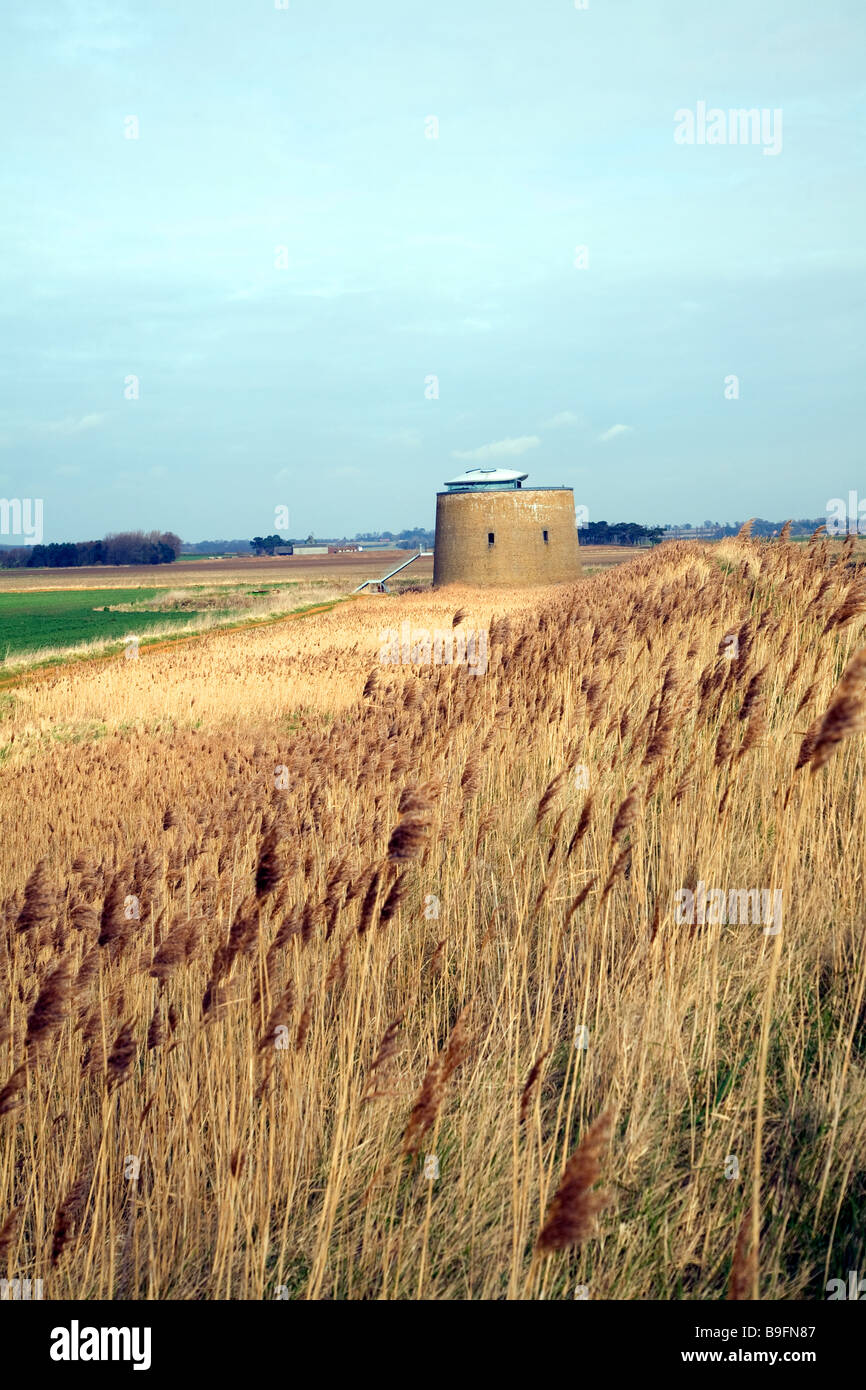 Martello tower Y in the marshes Bawdsey Suffolk England Stock Photo - Alamy