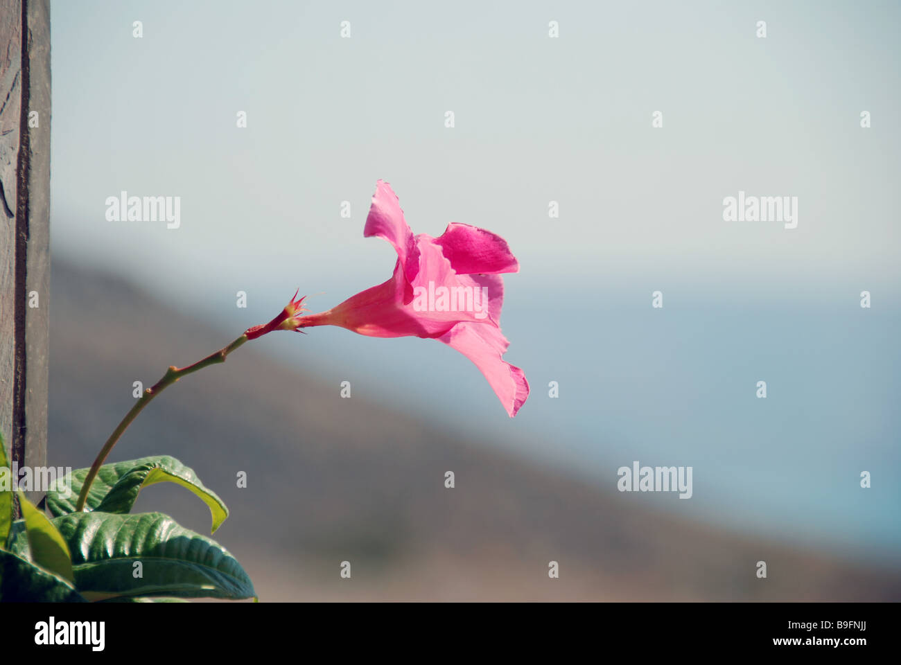 Kinner hi-res stock photography and images - Alamy