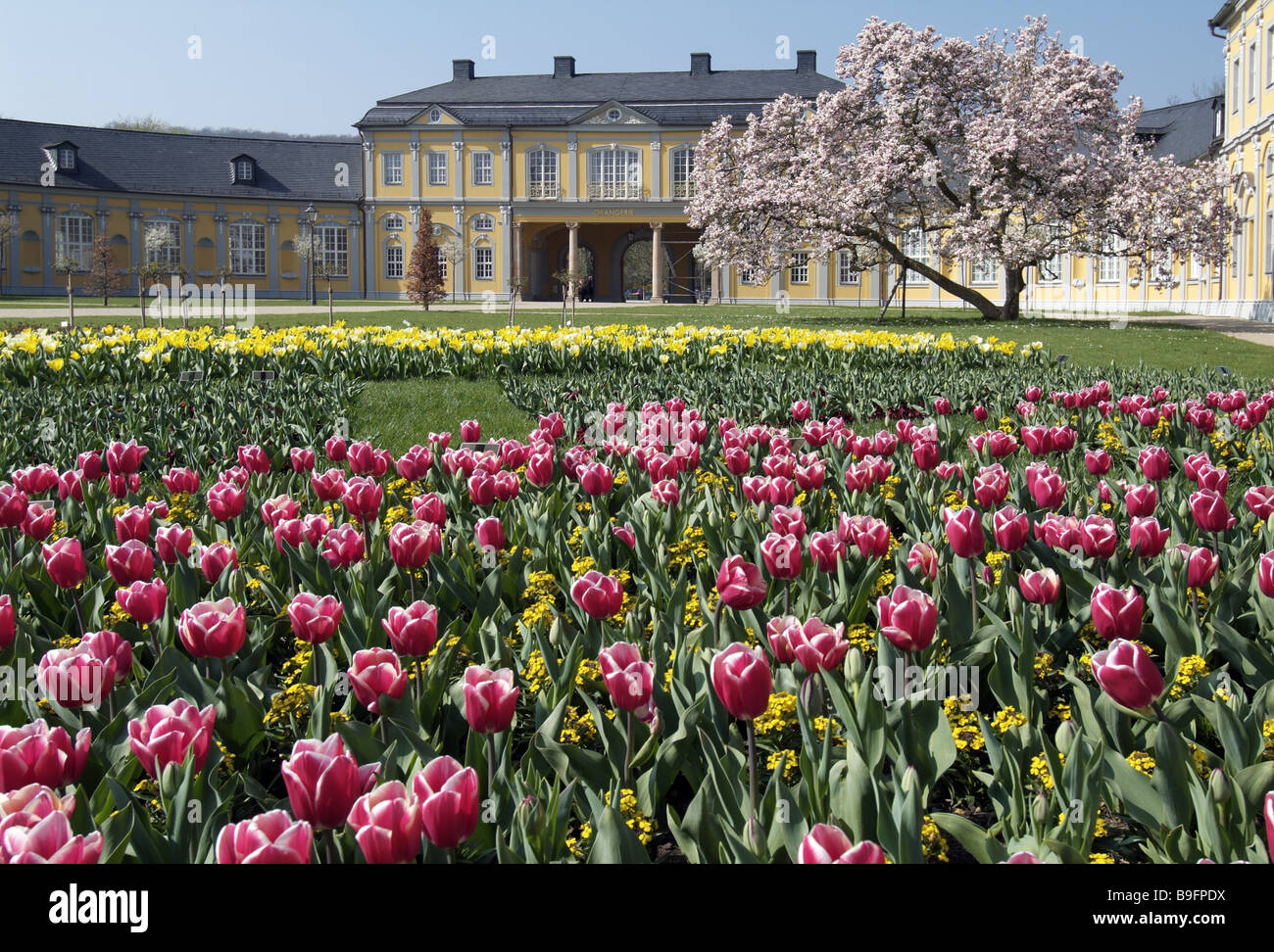 architecture, outside, baroque, bloom, flower beds, bloom, blooming ...