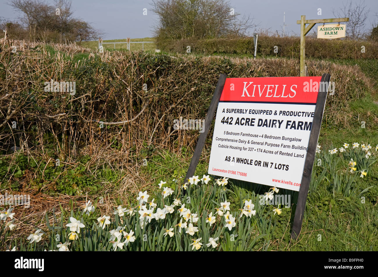 Auction sign hi-res stock photography and images - Alamy