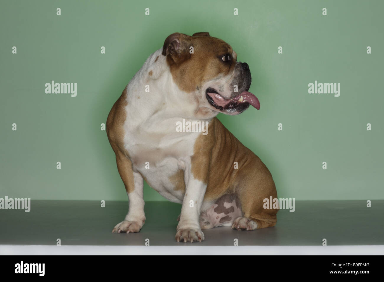 Sidelong look hi-res stock photography and images - Alamy