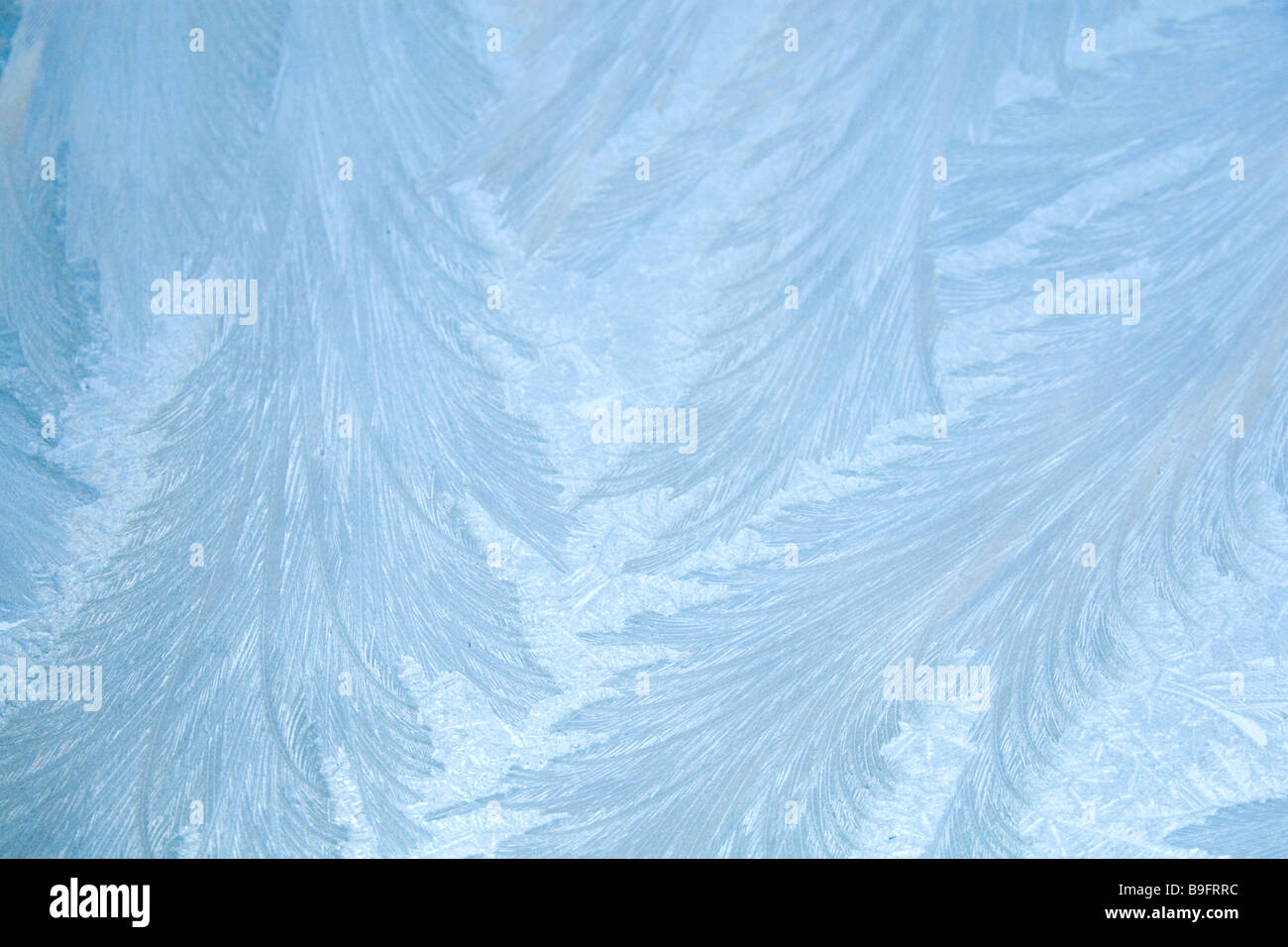 Frost patterns on windscreen hi-res stock photography and images - Alamy