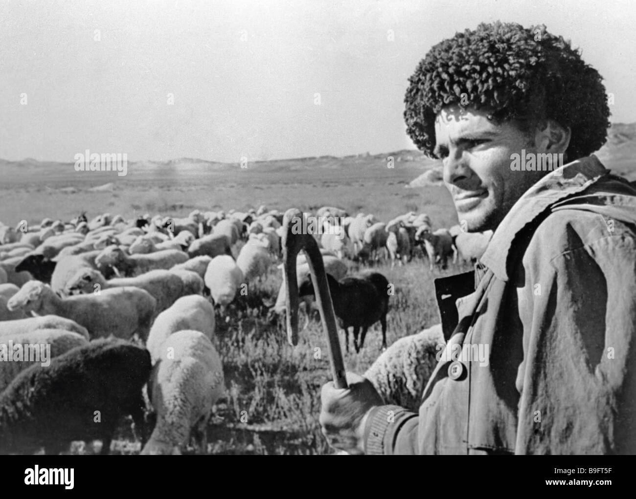 Shepherd and his flock Stock Photo - Alamy