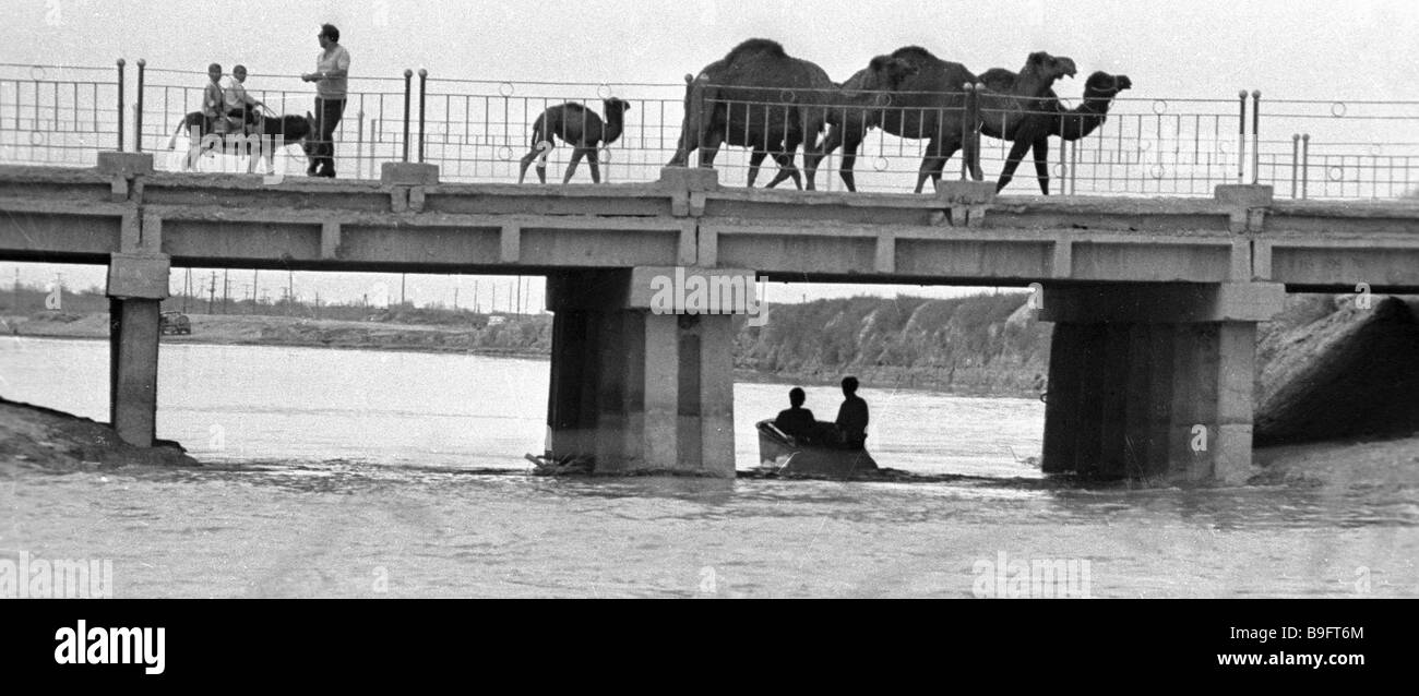 Camels crossing the Karakum canal via bridge Stock Photo - Alamy