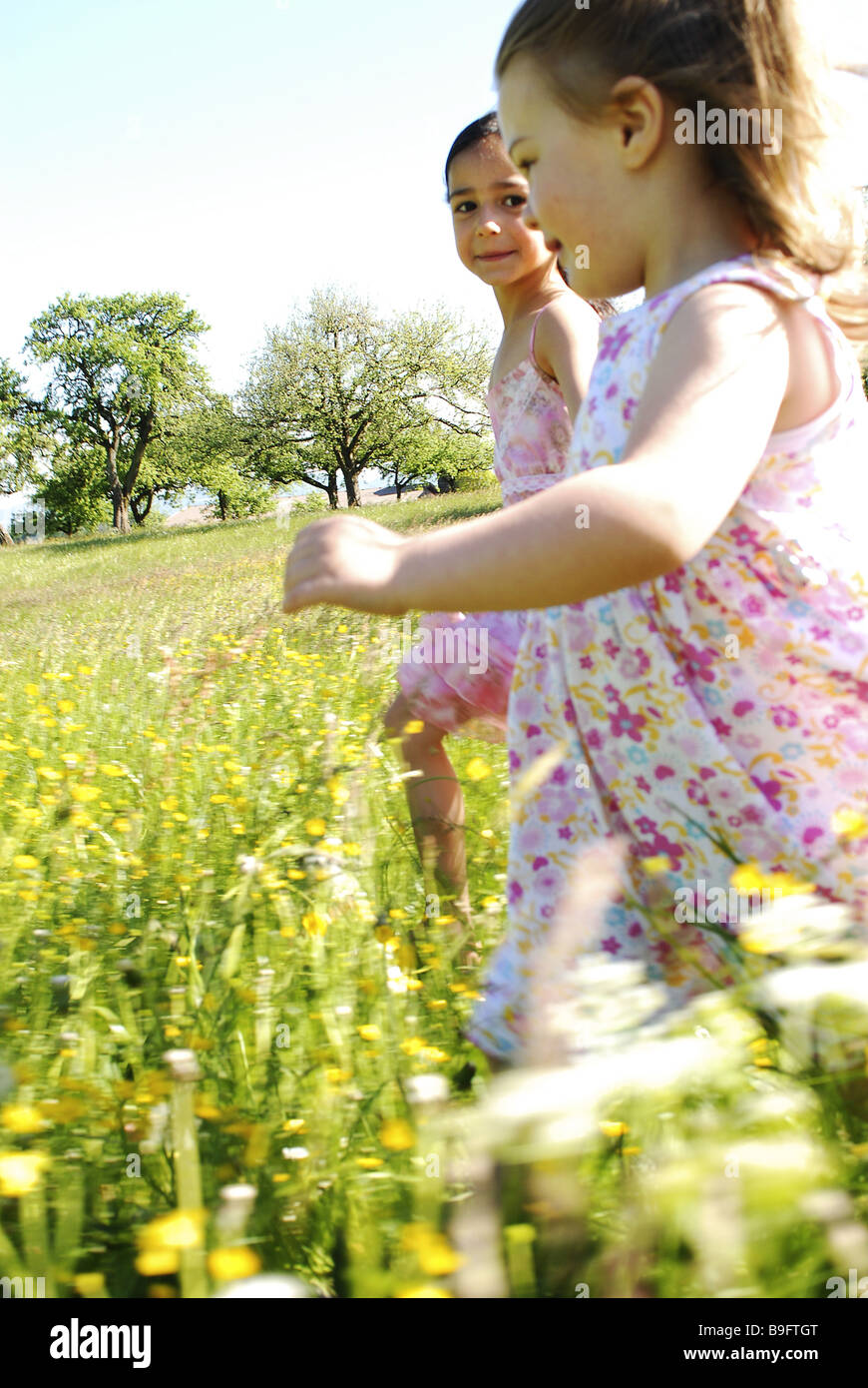 Children girl summer-meadow play Stock Photo - Alamy