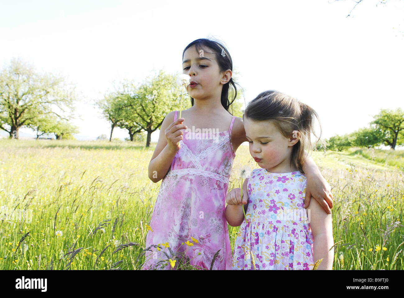 Children meadow play Stock Photo - Alamy