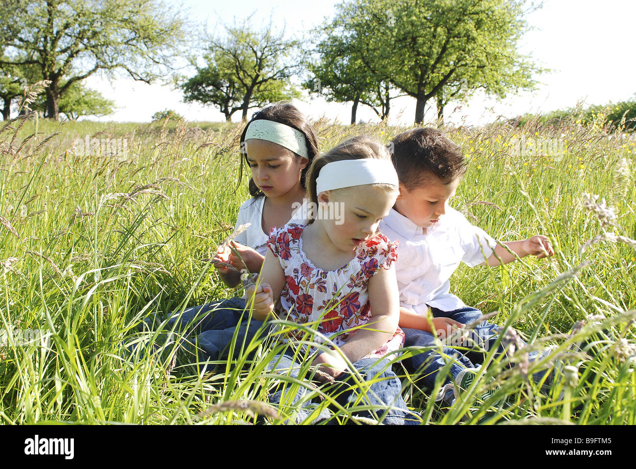 Children meadow play sitting Stock Photo - Alamy