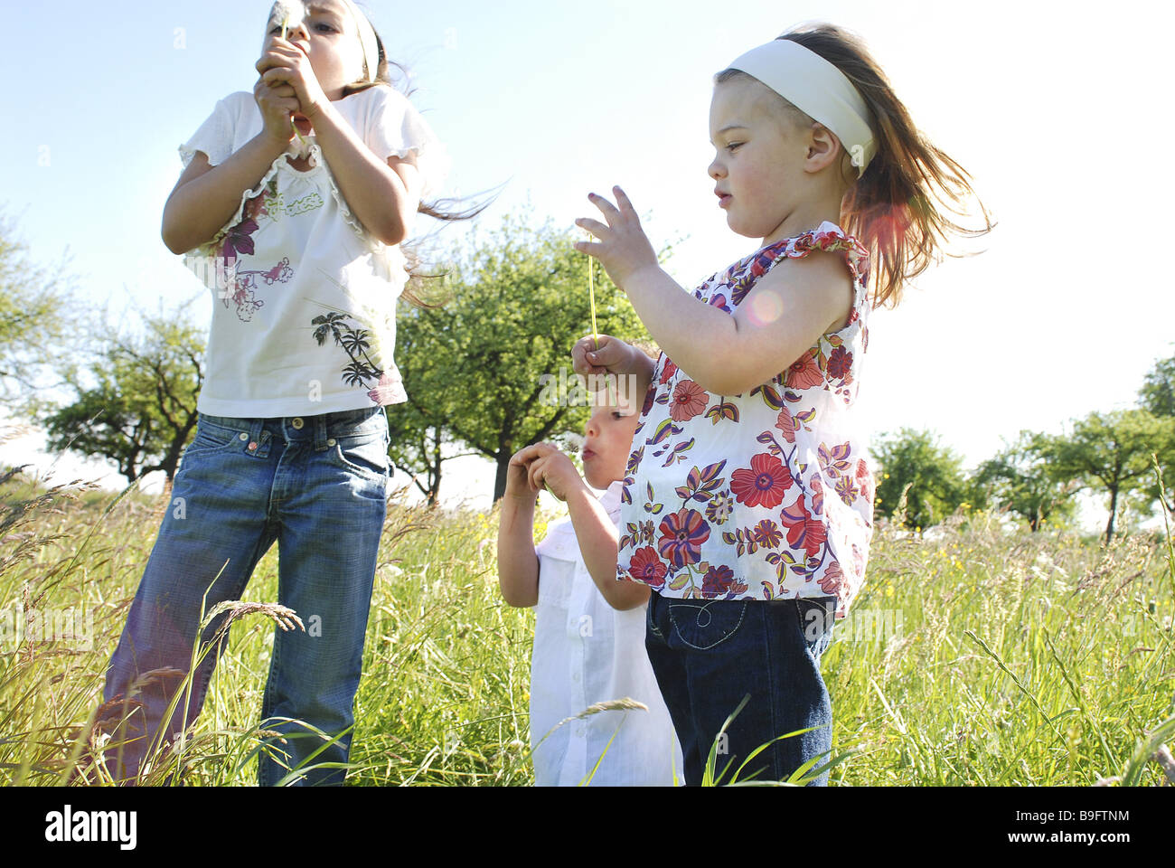 Children meadow play Stock Photo - Alamy