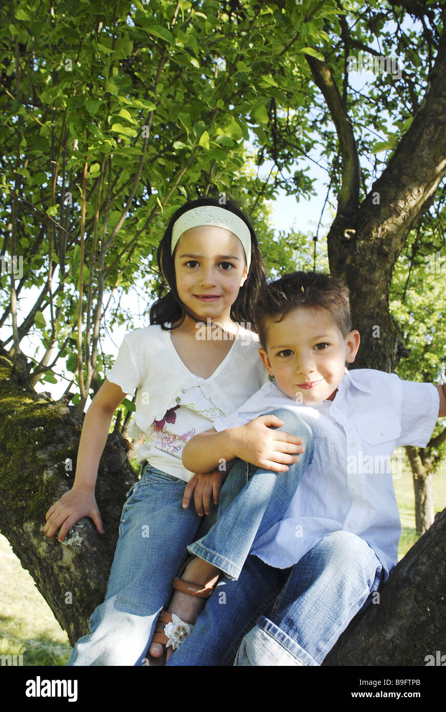 Children tree sit Stock Photo - Alamy