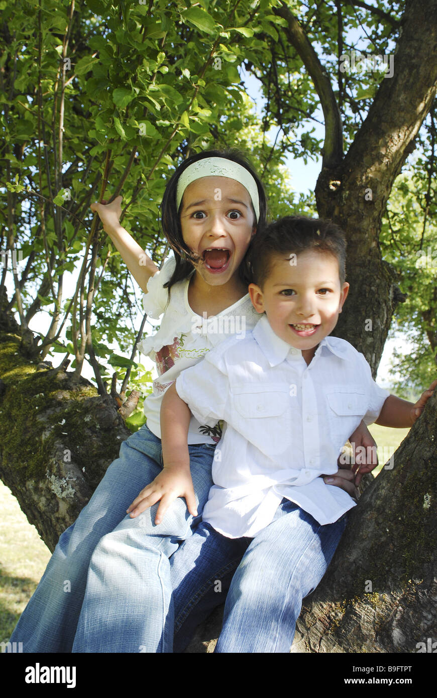 Children tree sit Stock Photo - Alamy