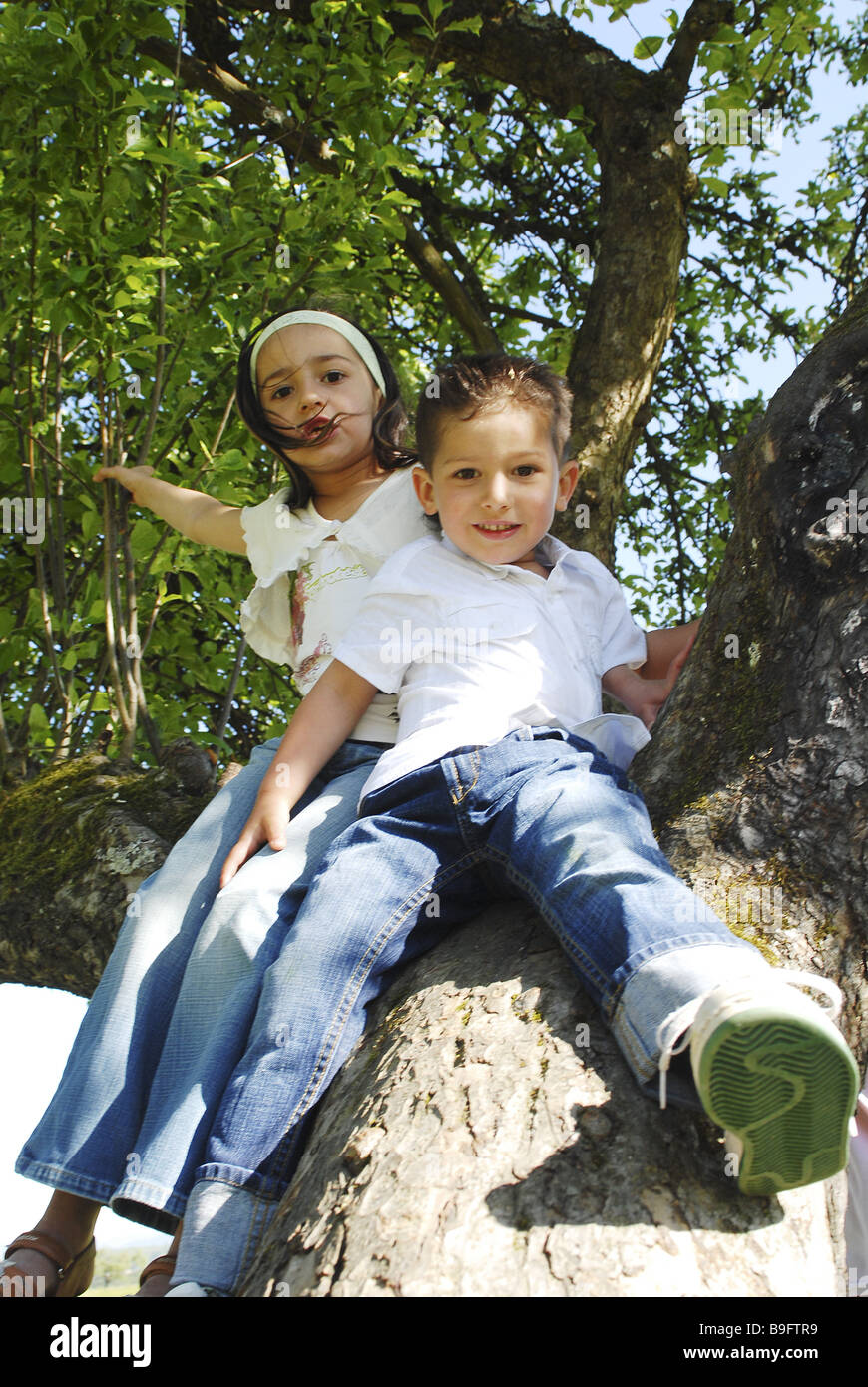 Children tree sit Stock Photo - Alamy