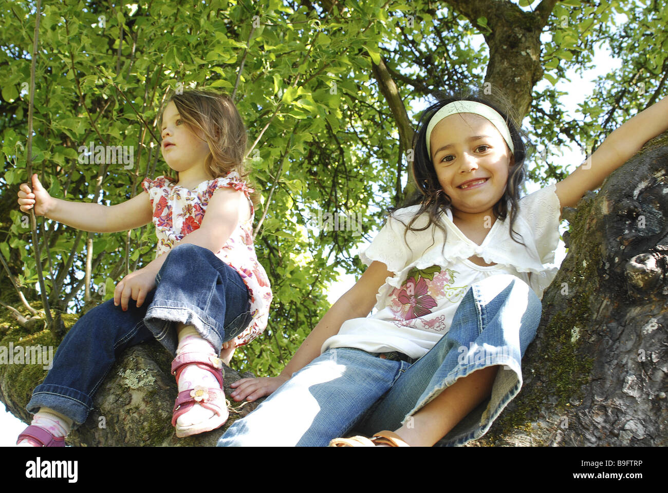 Children tree sit Stock Photo - Alamy