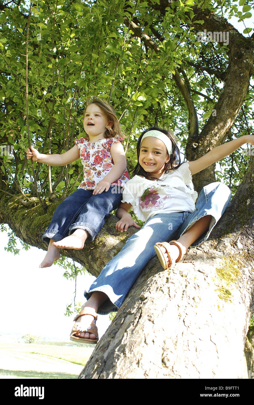 Children tree sit Stock Photo - Alamy