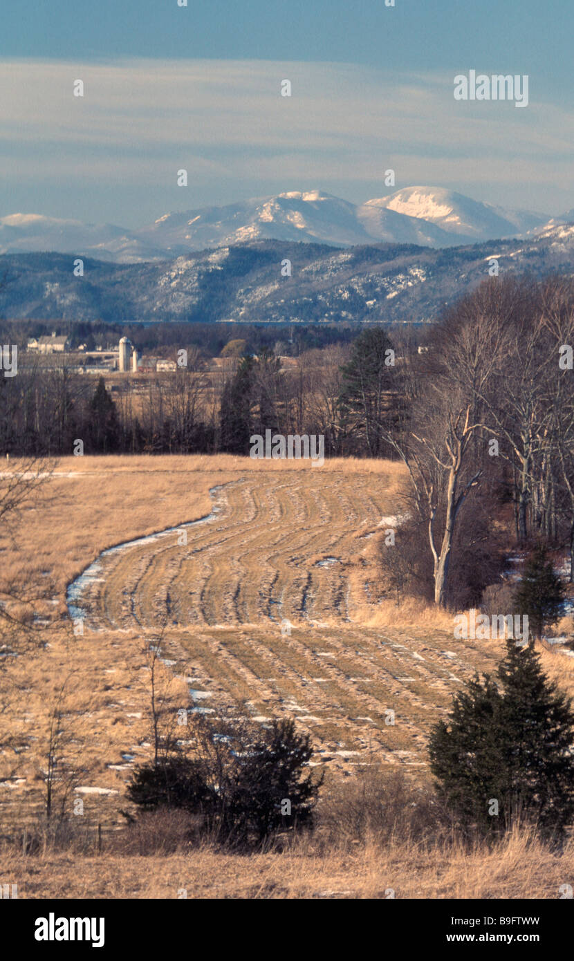 farms along Lake Champlain Stock Photo - Alamy