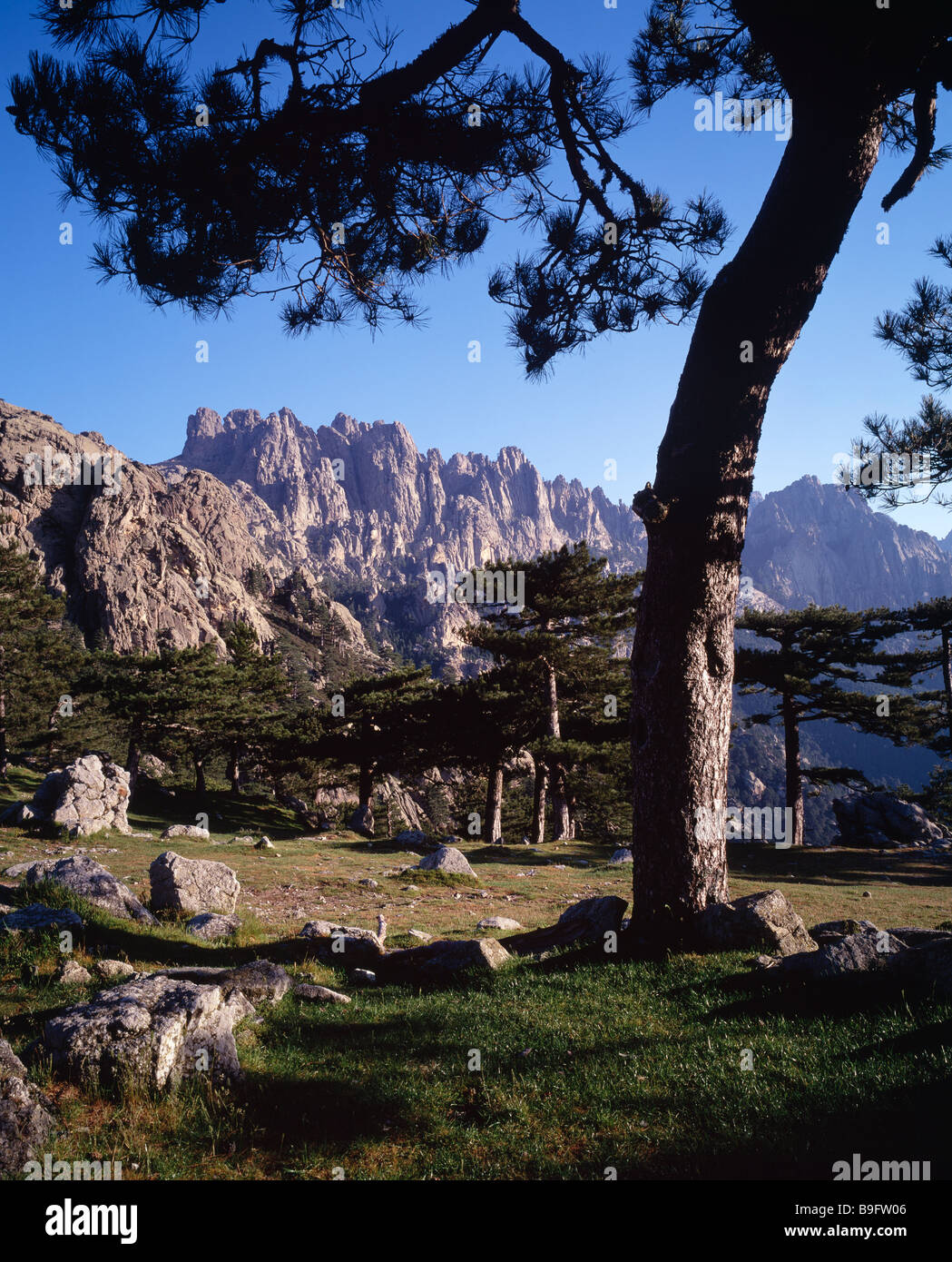 Aiguilles de Bavella from the Col de Bavella, Corse du Sud, Corsica ...