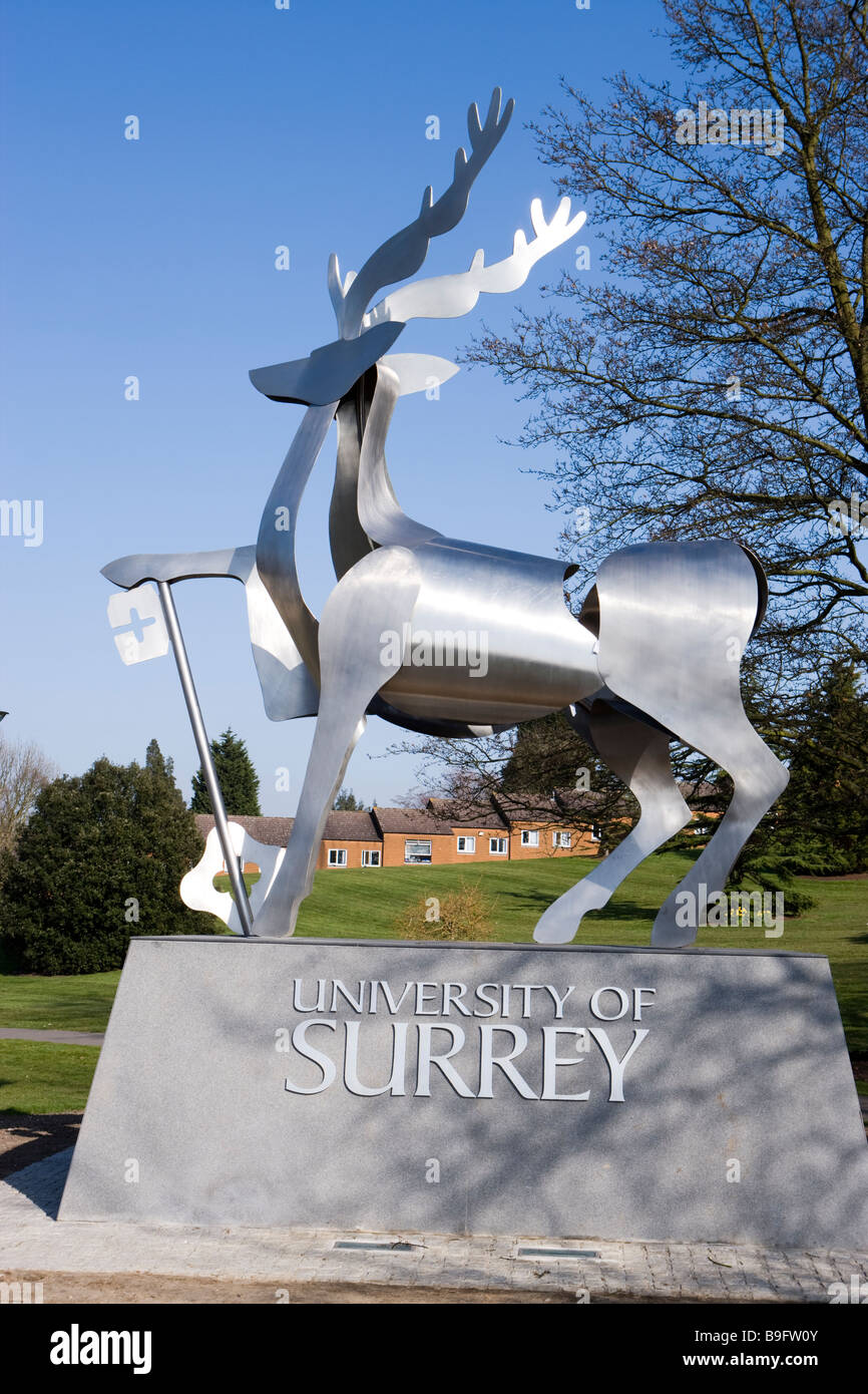Uni Of Surrey Logo University Of Surrey