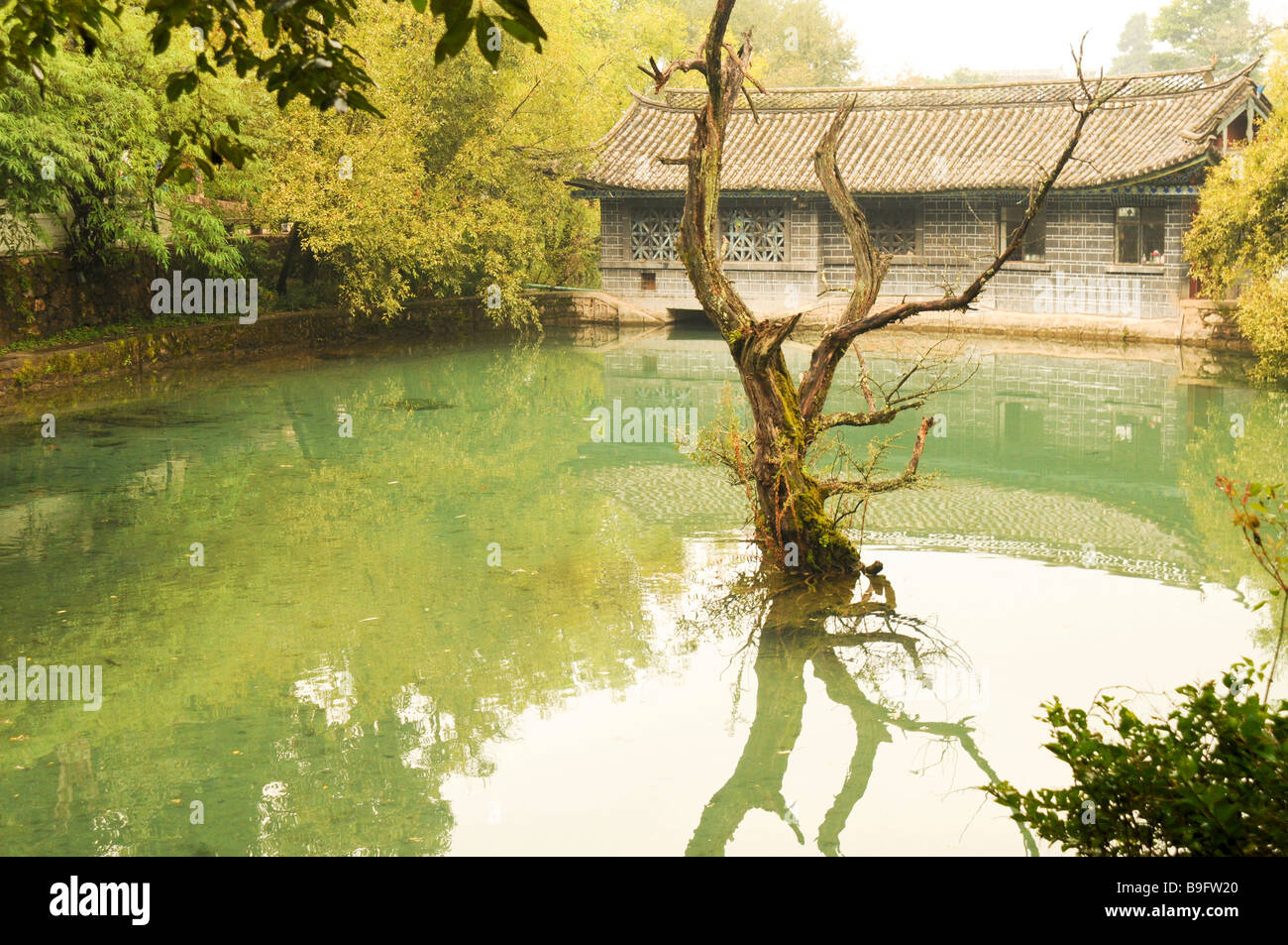 China Yunnan province Lijiang black dragon pool Stock Photo - Alamy