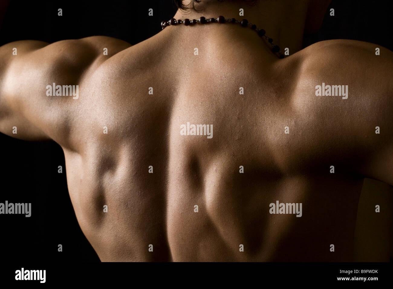 Upper body muscles hi-res stock photography and images - Alamy