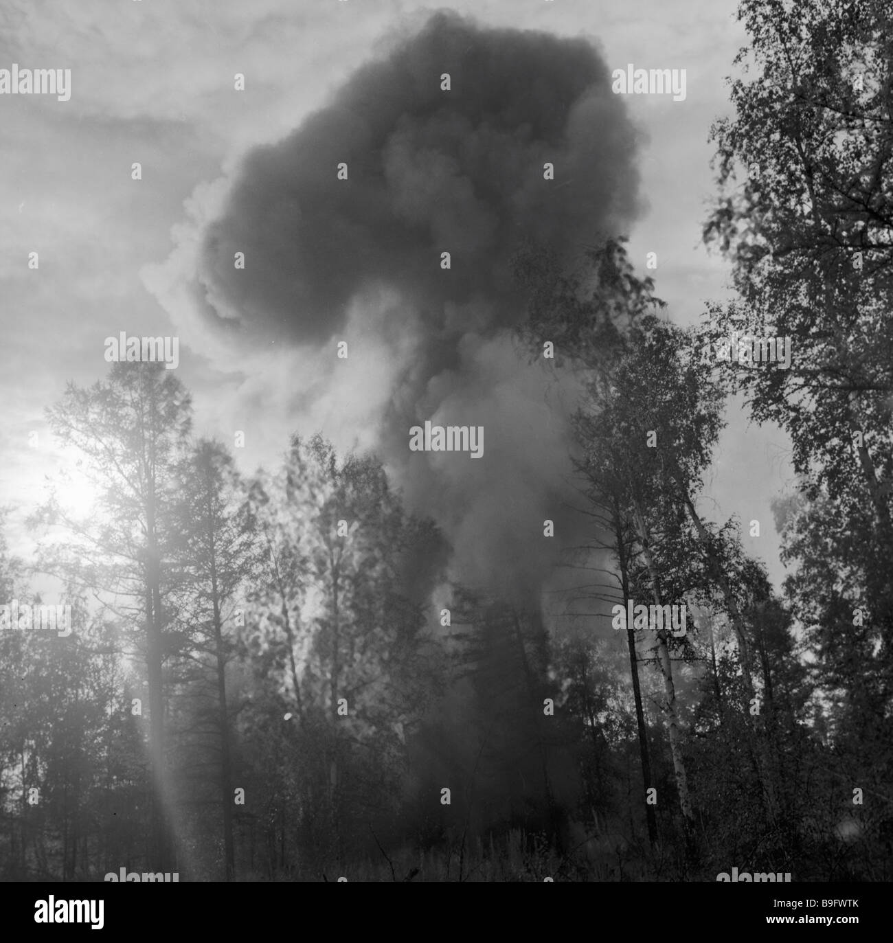A fire in Siberian taiga Stock Photo - Alamy