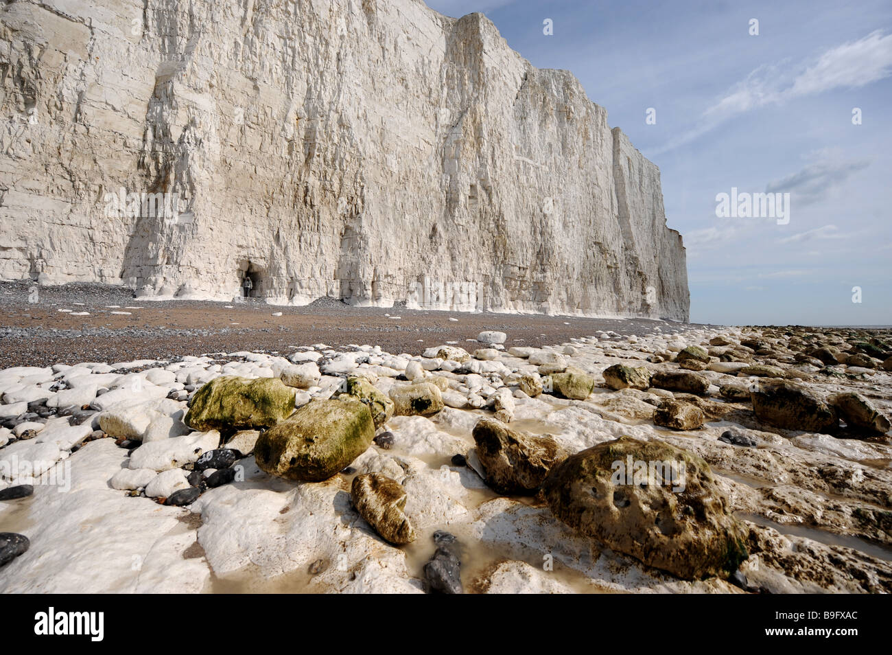 Chalk beach and cliffs along the Seven Sisters viewed from Birling Gap ...
