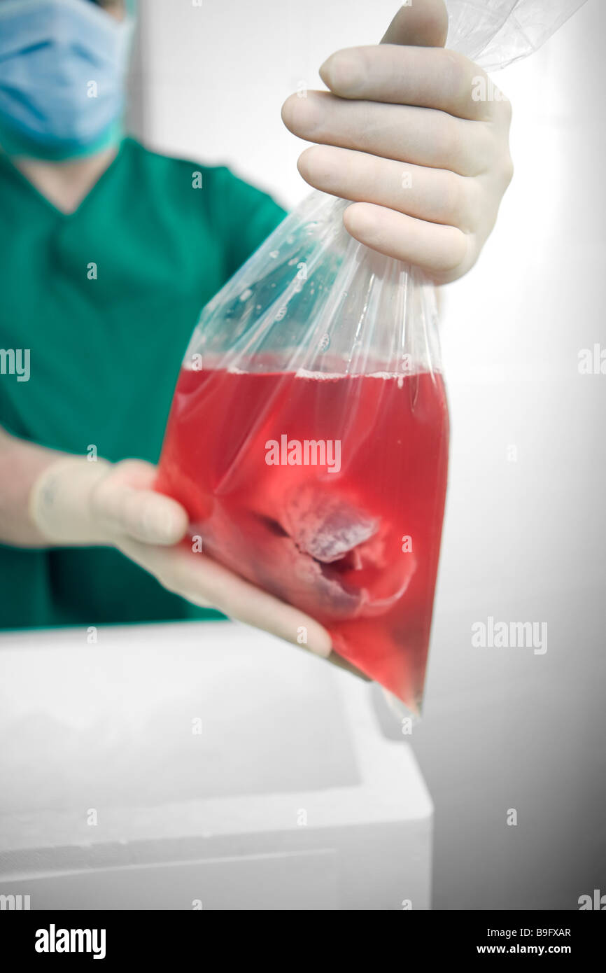 Transplantation box High Resolution Stock Photography and Images - Alamy