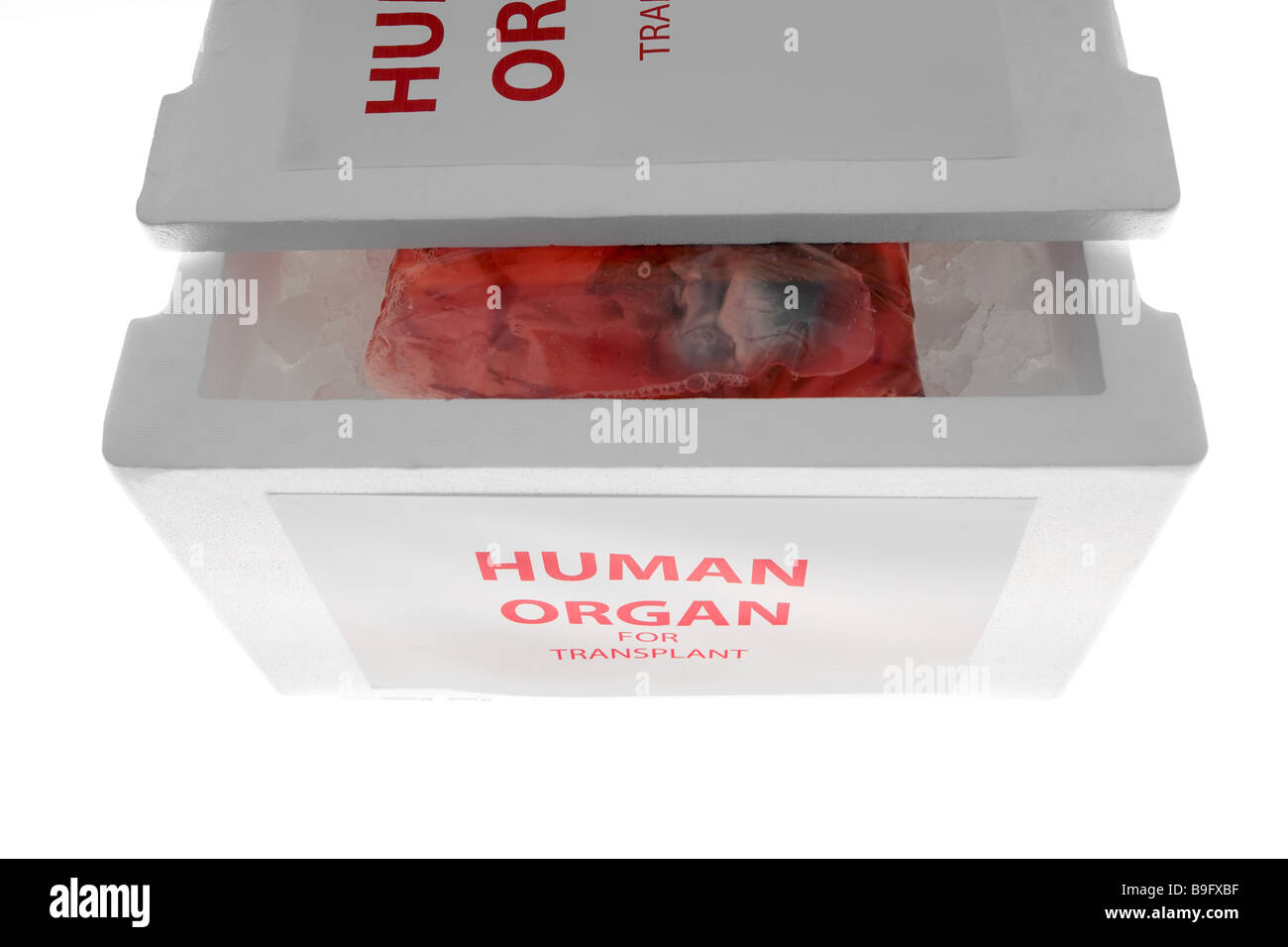 Human organ transplant hi-res stock photography and images - Alamy