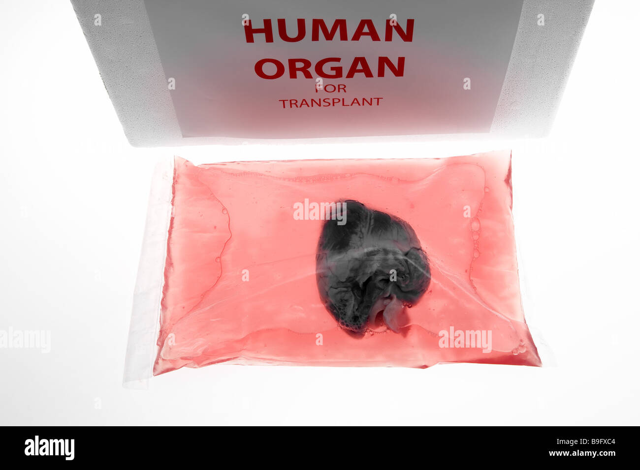 Transplant box hi-res stock photography and images - Alamy