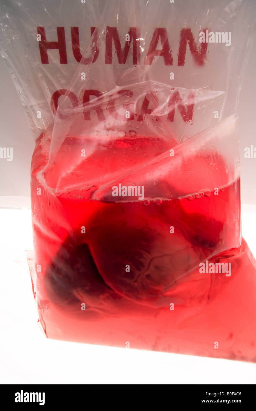 organ transplant receptacles human organ Stock Photo - Alamy