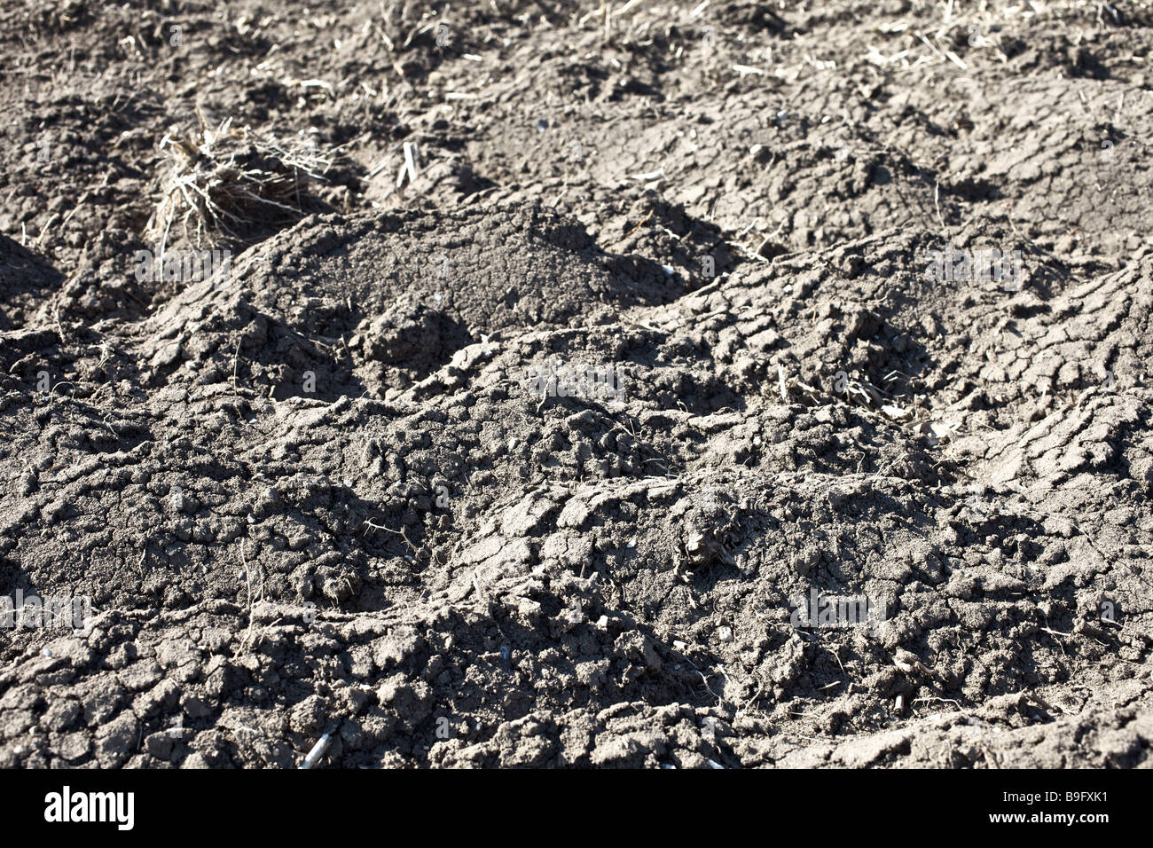 Environment concept plain background hi-res stock photography and ...