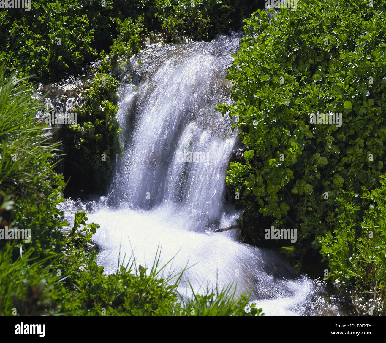 Mountain-brook detail waterfall brook waters water flows source-water ...