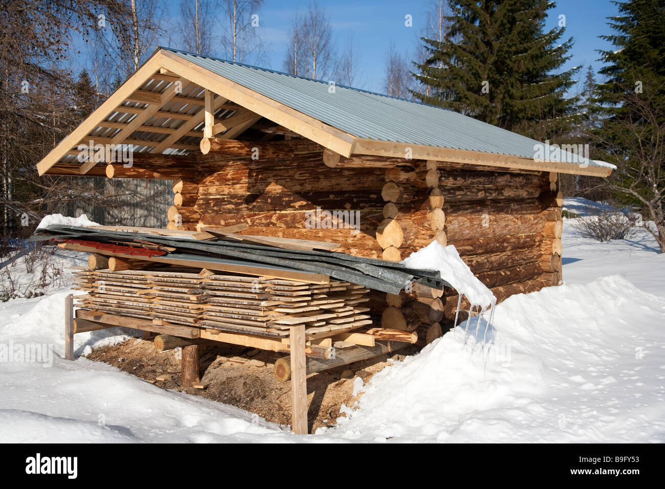 Log cabin made of barked spruce logs under construction , Finland Stock ...