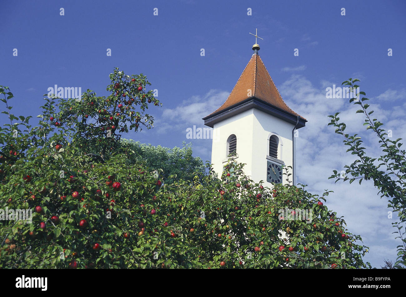 Germany Baden-Württemberg Allgäu constable apple tree church tower ...