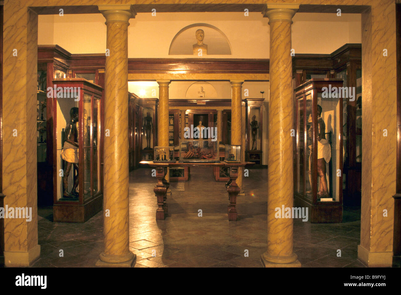 Museum of human anatomy italy hi-res stock photography and images - Alamy